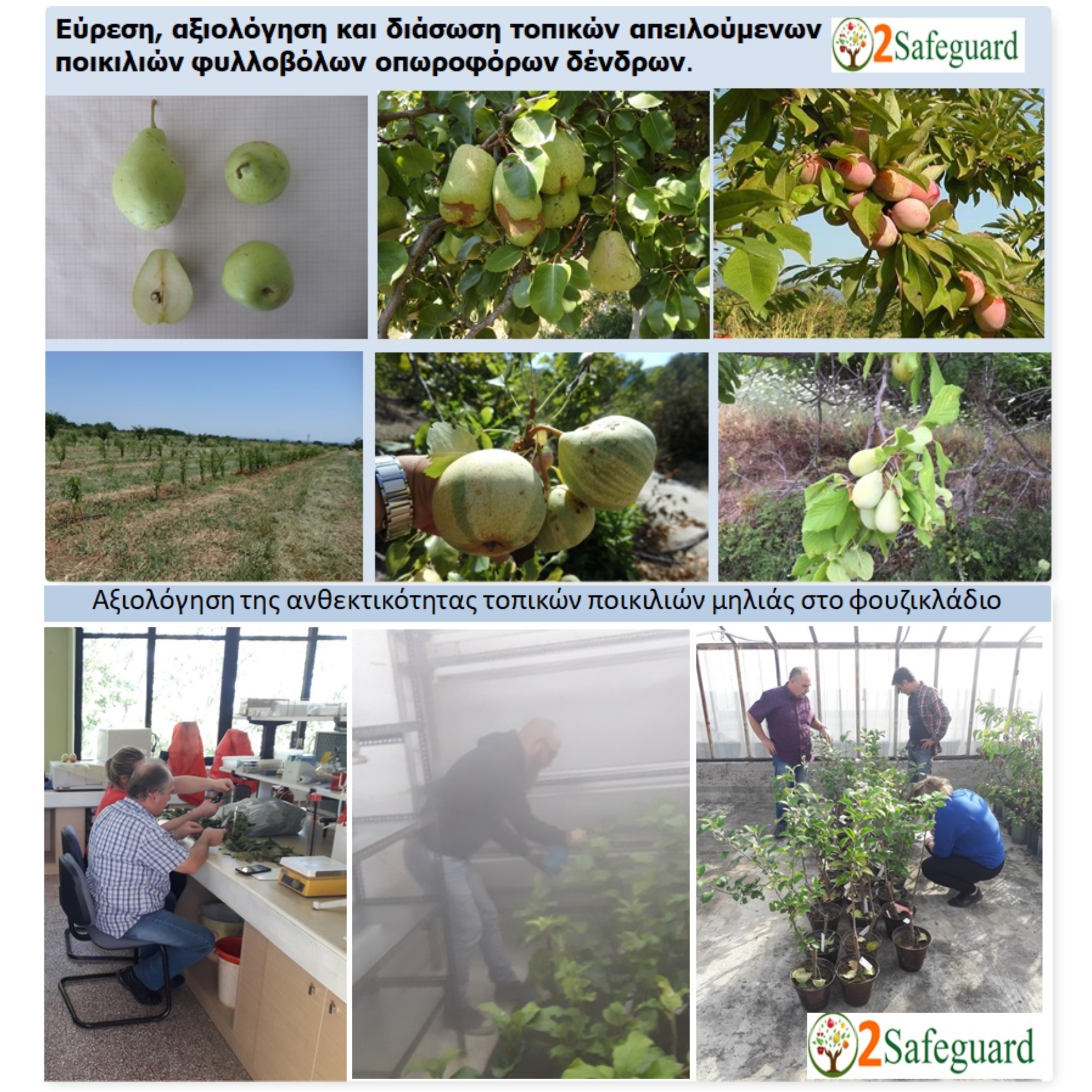 Δράσεις εύρεσης, αξιολόγησης και αξιοποίησης τοπικών ποικιλιών ...